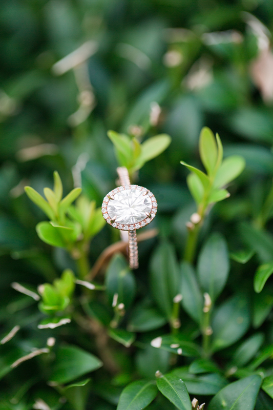 Buggs Island Engagement Session | Robbie + Constance | www ...